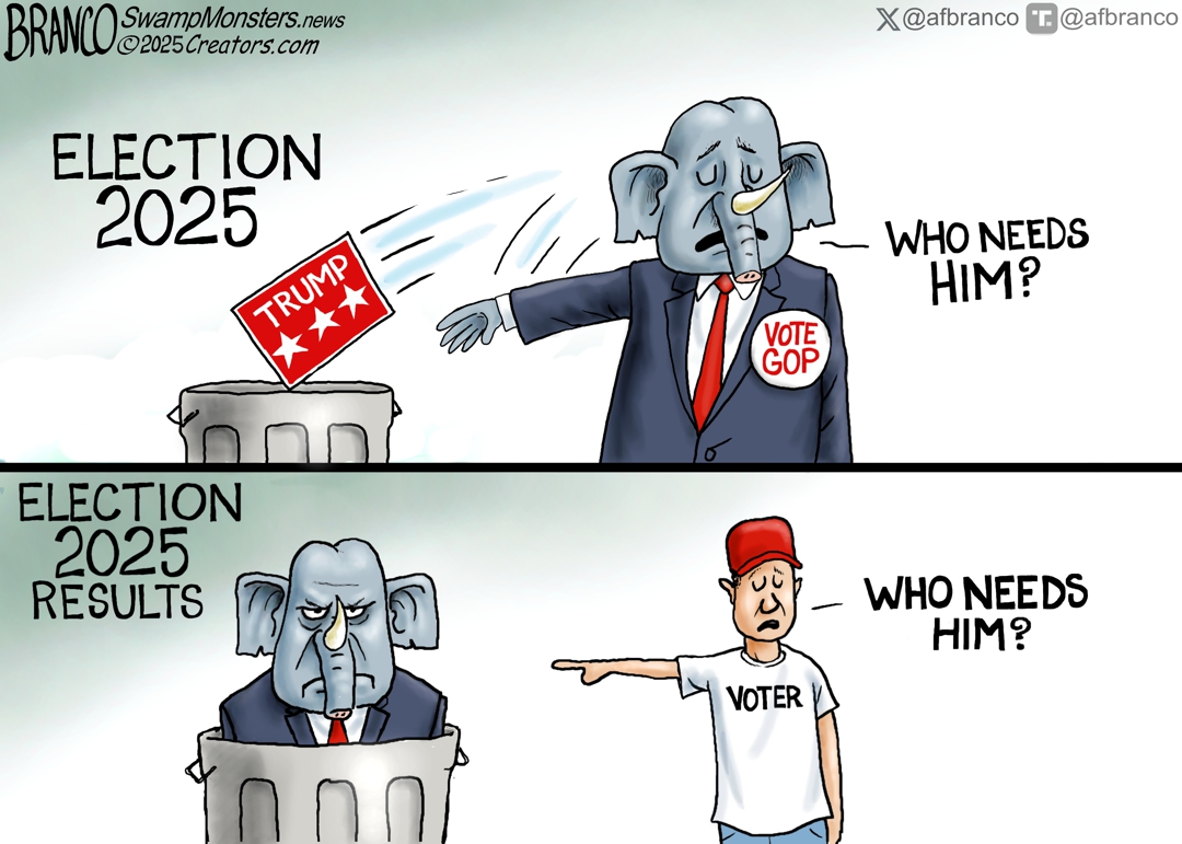 Branco Toon - The Forgotten Voter - Comically Incorrect